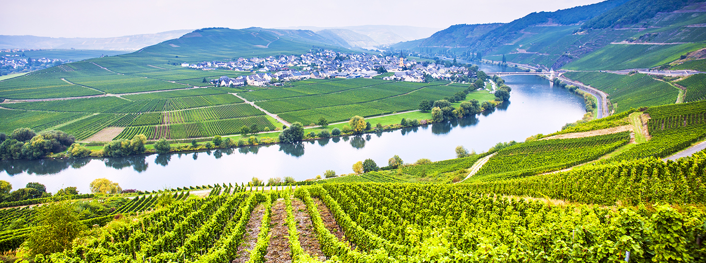 Reinin jokiristeily | Matkapojat