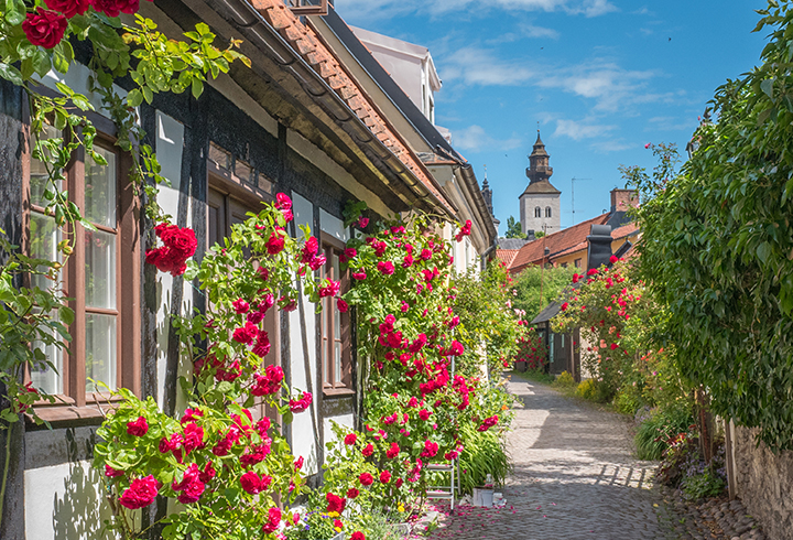 S-ryhmän kesäristeily Visbyhyn Silja Europalla