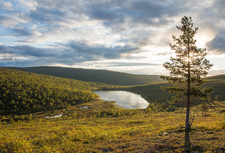 Lapin matkat | Kotimaa | Matkapojat