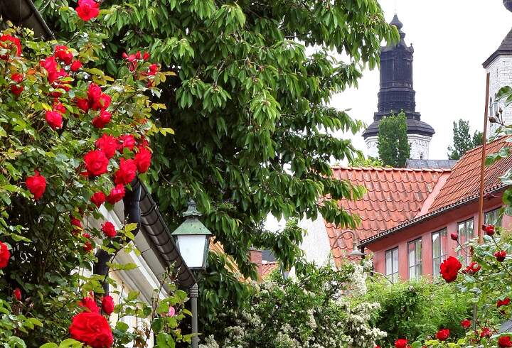 Visbyn risteily Helsingistä | Matkapojat