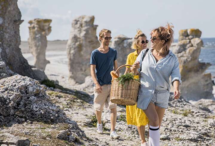 Visbyn risteily Helsingistä | Matkapojat