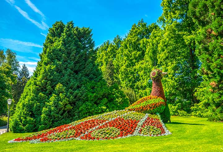 Saksan kiertomatkat | Bodensee ja Alpit | Matkapojat