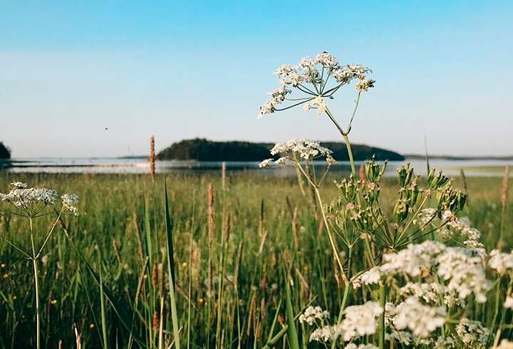 Seilin saari päiväretki | Matkapojat