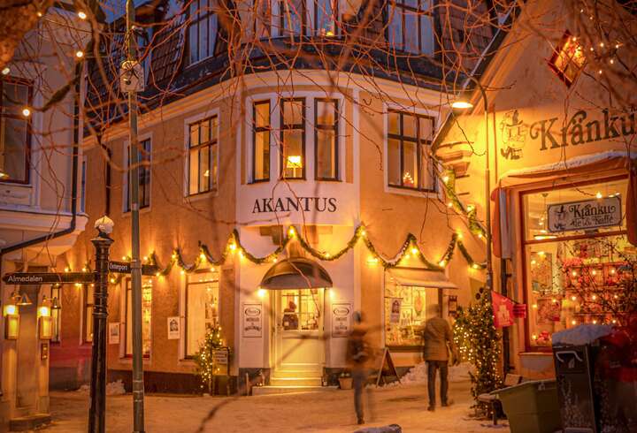 Syksyn Visby -risteily Viking Linella | Matkapojat